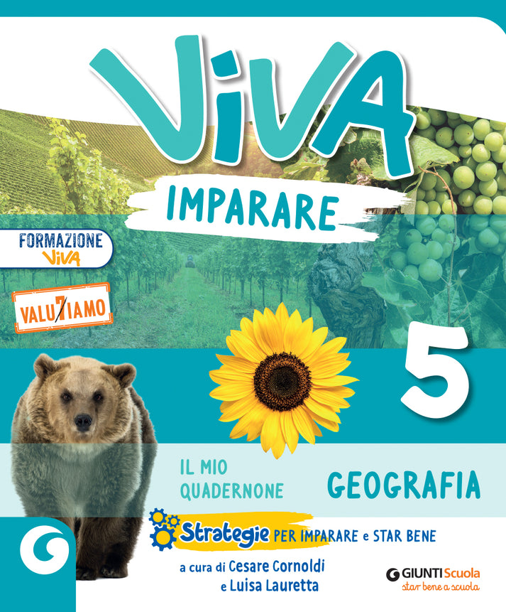 VIVA IMPARARE - cl 5 Geografia. Sussidiario delle discipline | Giunti al punto